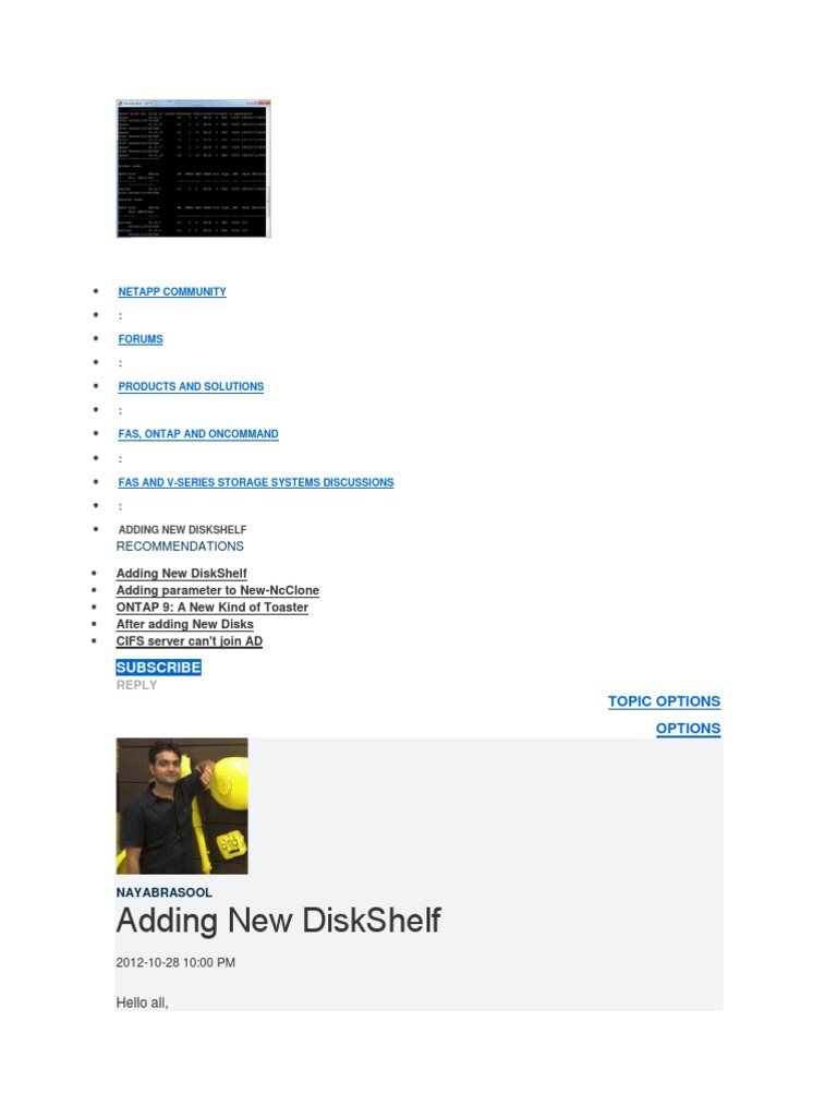 Adding New Diskshelf Netapp Community Pdf Computer Data Computing
