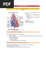 Resumen Capitulo 9 Fisiología de Guyton | PDF | Potencial de acción | Ventrículo (corazón)