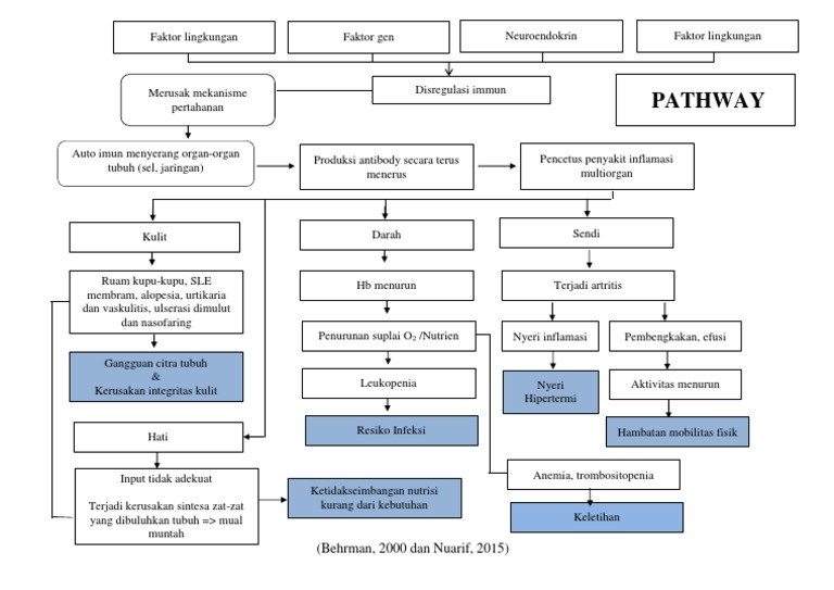 Pathway SLE Anak | PDF