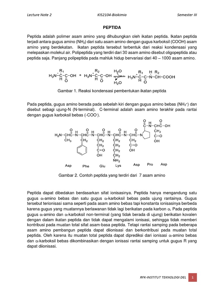 Peptida | PDF