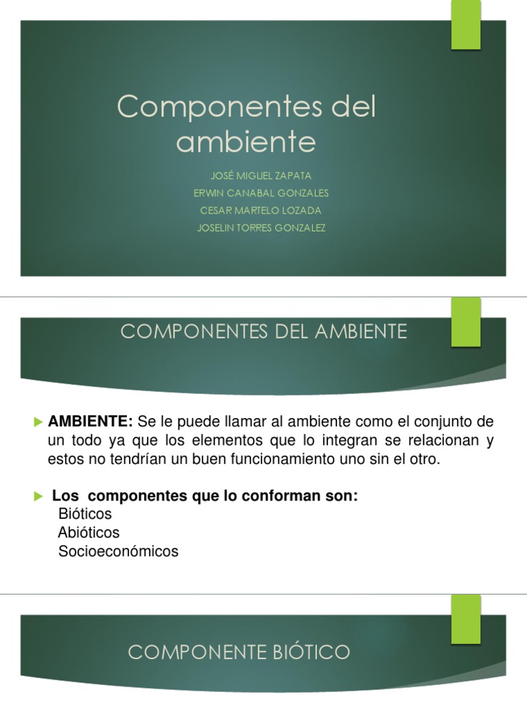 Componentes Del Ambiente | PDF