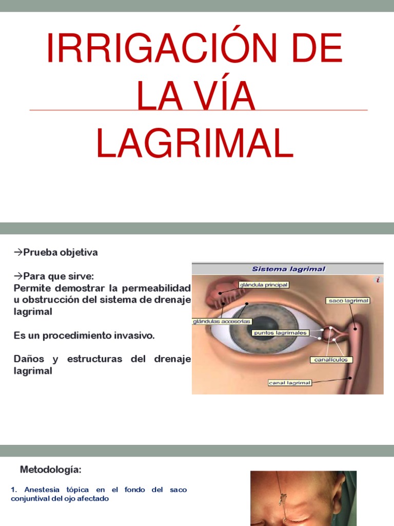 Irrigacion de La Via Lagrimal | PDF