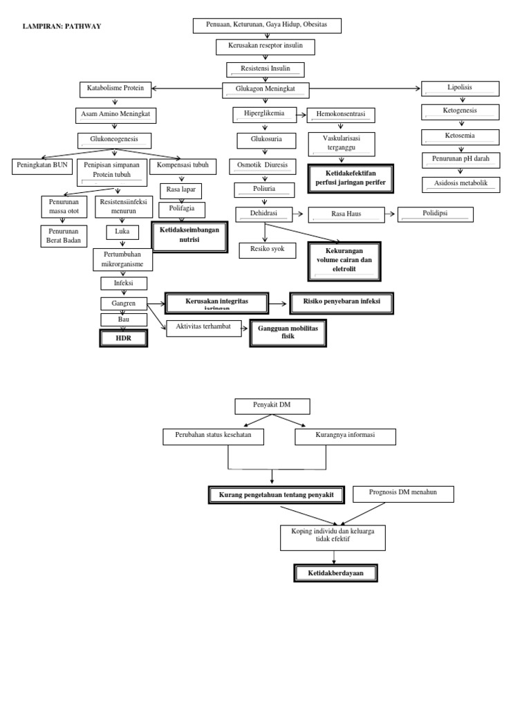 Pathway Diabetes Melitus | PDF | Kesehatan Holistik