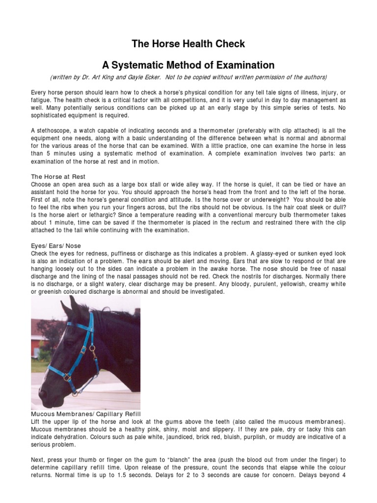 Horse Health Check Description | PDF | Horses | Heart