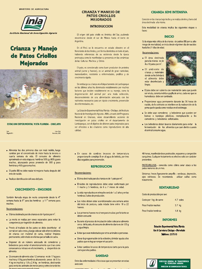 06 Crianza y Manejo de Patos Criollos Mejorados | PDF