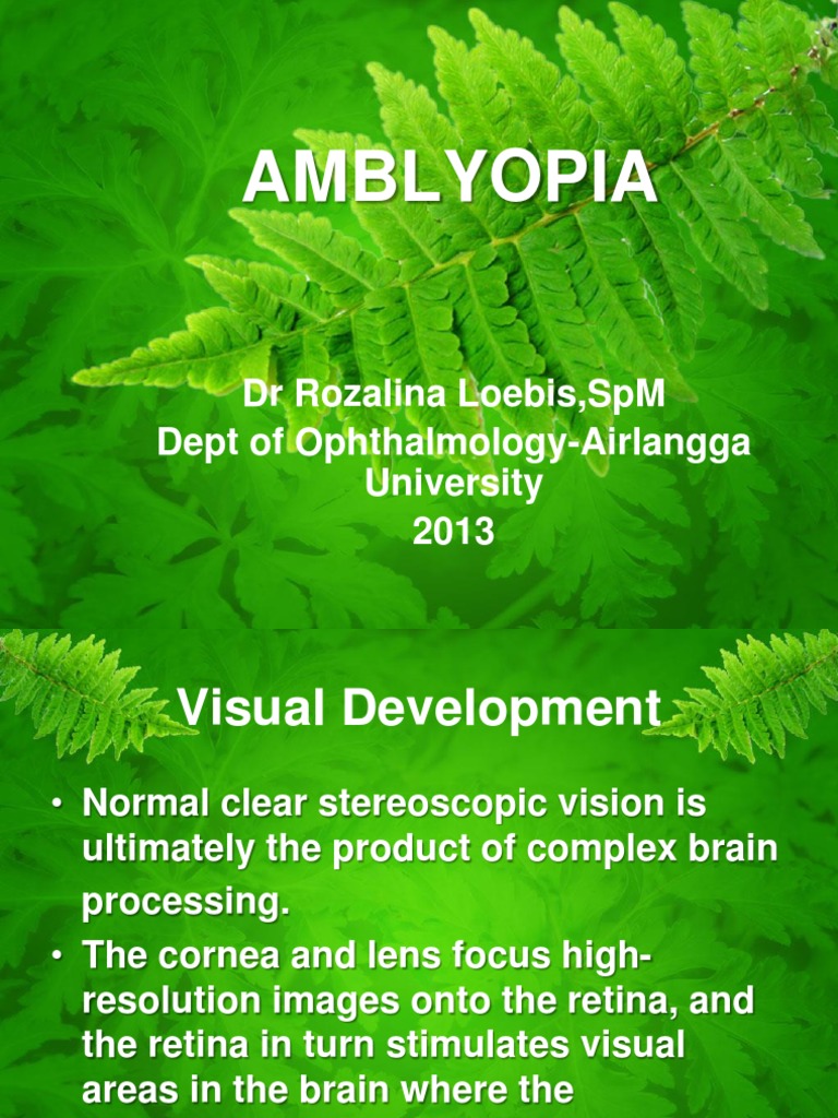 Mata - Amblyopia | PDF | Visual System | Visual Acuity
