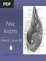 Pelvic Clock® Illusrated Exercise Guide | PDF | Pelvis | Foot