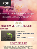 Pollination Class 12 Biology Project | PDF | Pollination | Pollinators