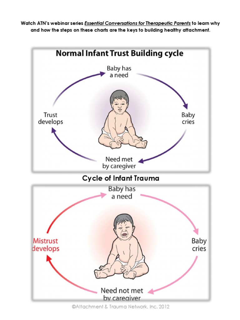 Attachment Cycles | PDF