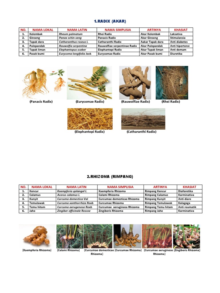 Farmakognosi Tabel Simplisia | PDF