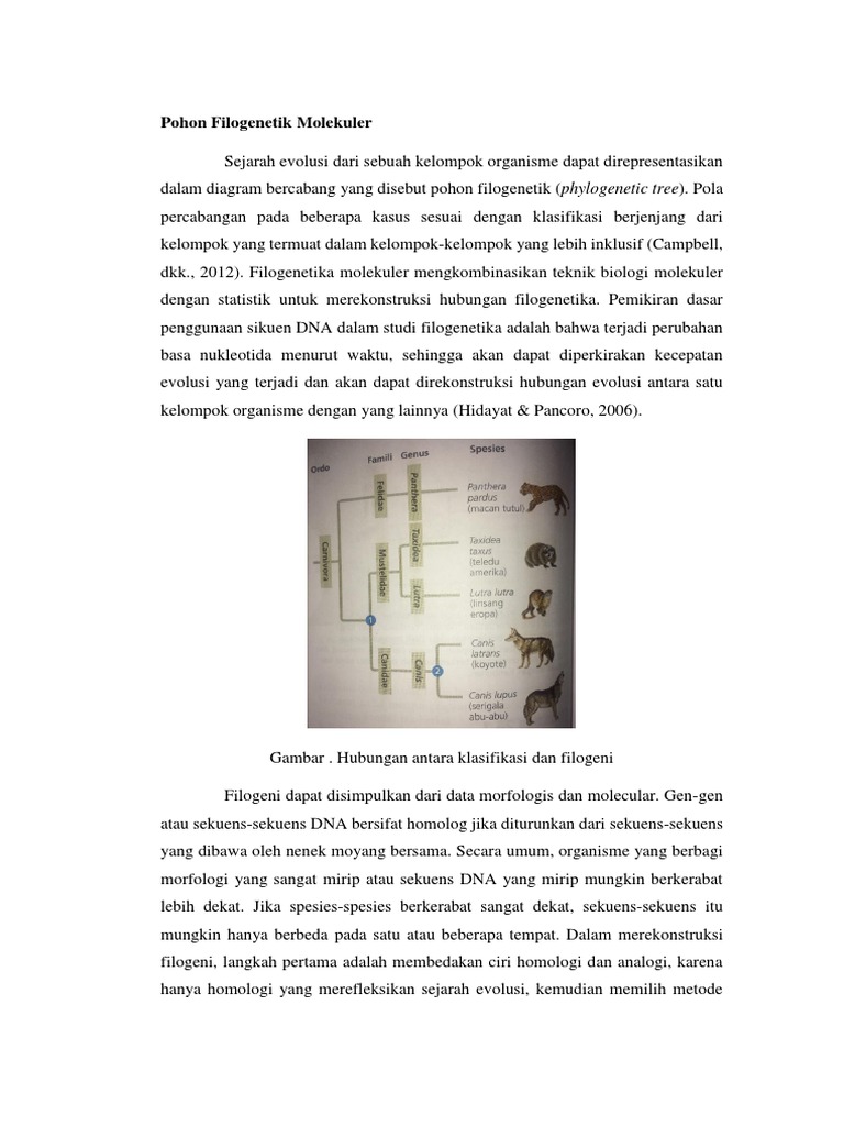 Pohon Filogenetik Molekuler
