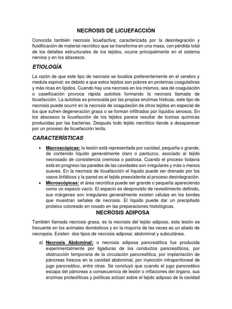 Necrosis Licuefactiva: Características y Causas | PDF | Tejido adiposo ...