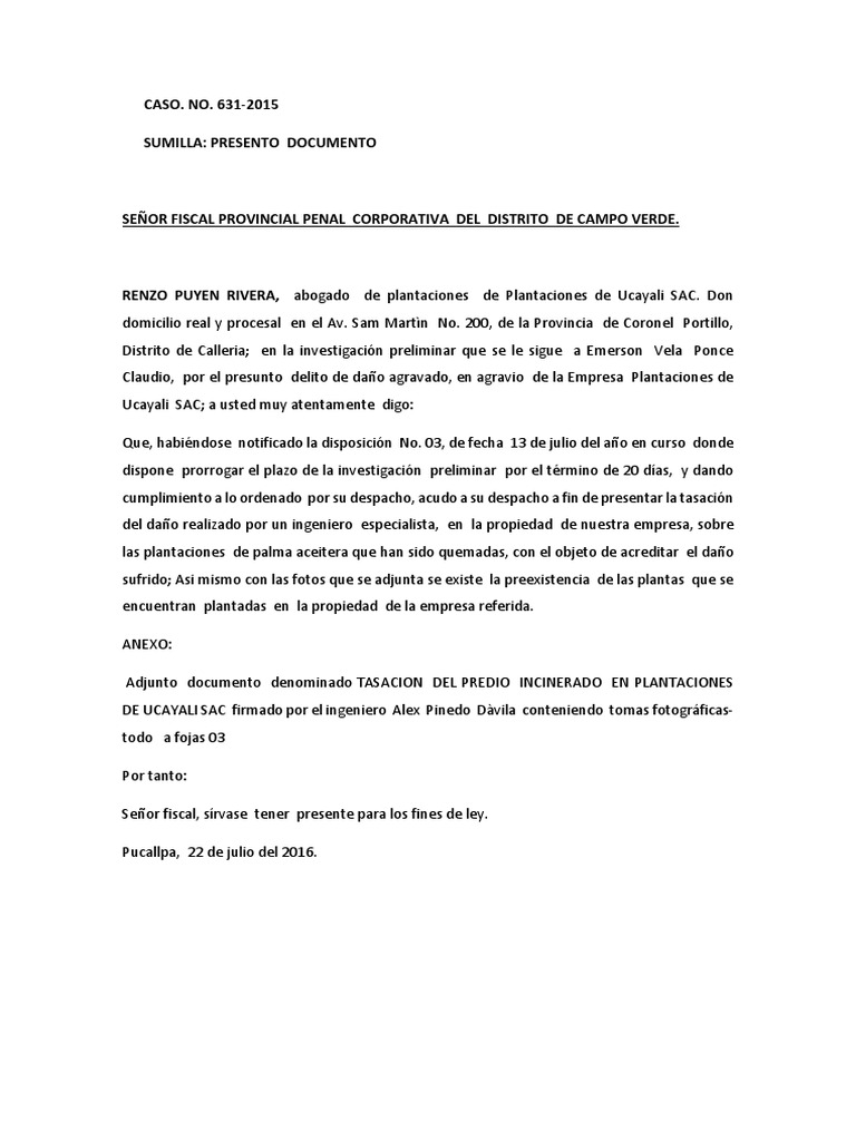 Adjunto Documento | PDF
