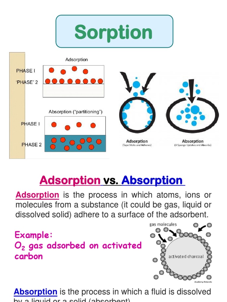Adsorption - New | PDF | Adsorption | Chemical Engineering