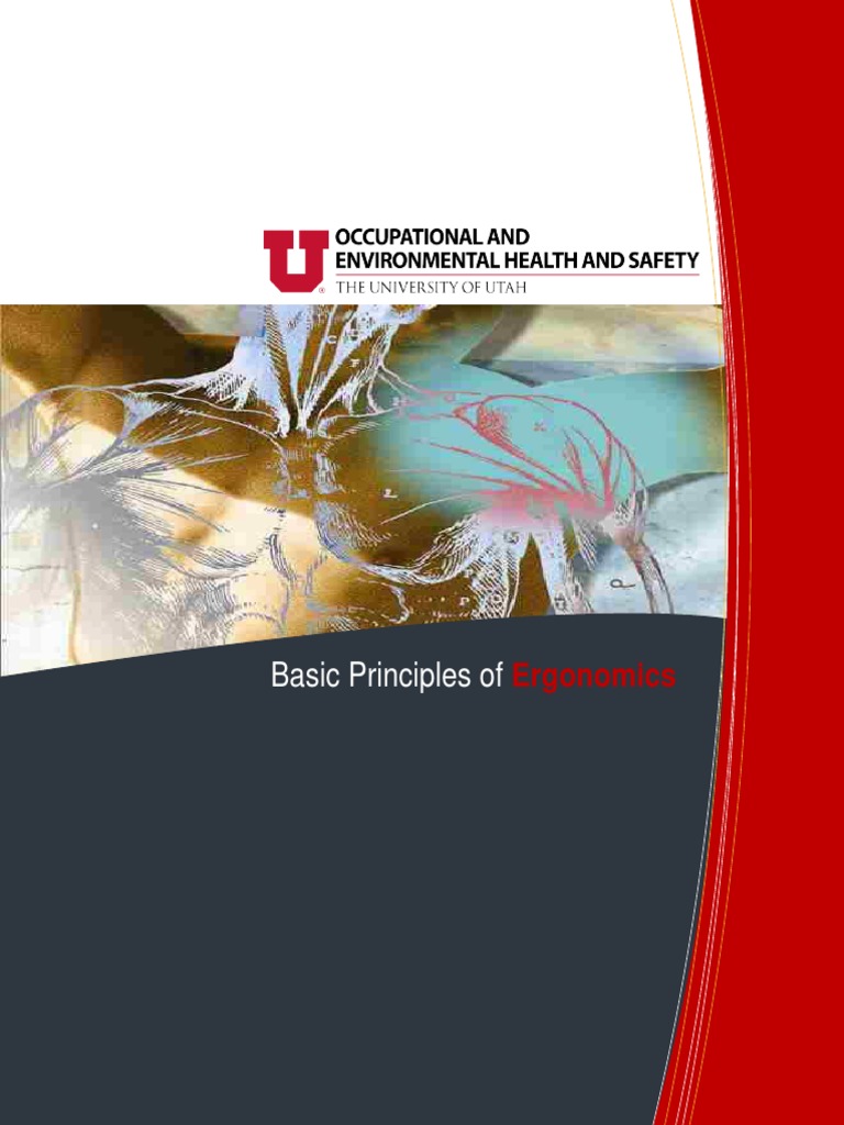 Basic Principles of Ergonomics | Download Free PDF | Human Factors And ...
