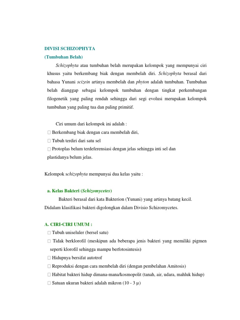 Divisi Schizophyta | PDF