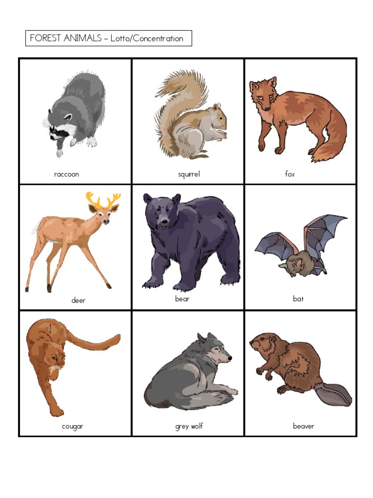 Forest Animals Lotto Game | PDF