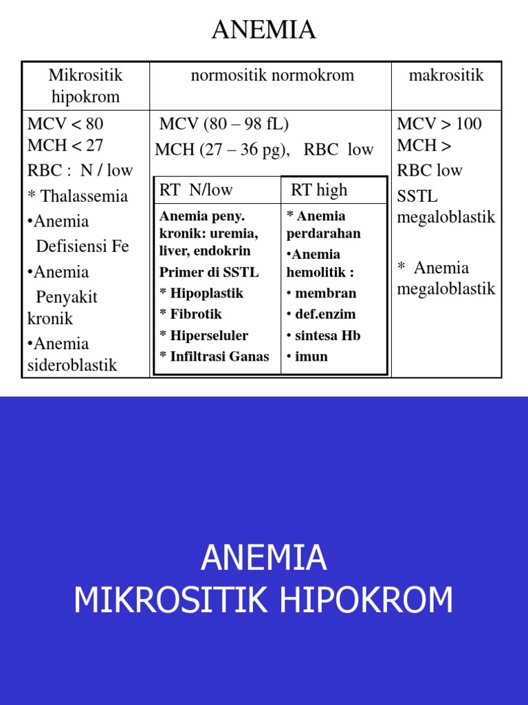 Anemia Mikrositik Hipokrom | PDF