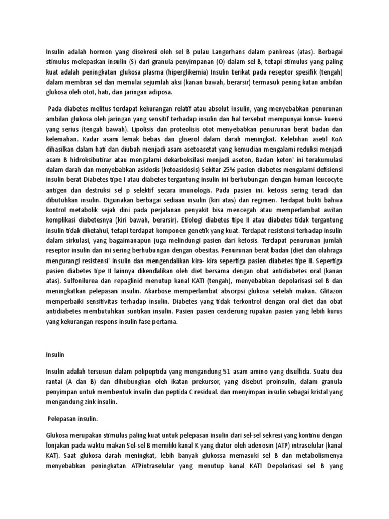 Materi Insulin | PDF