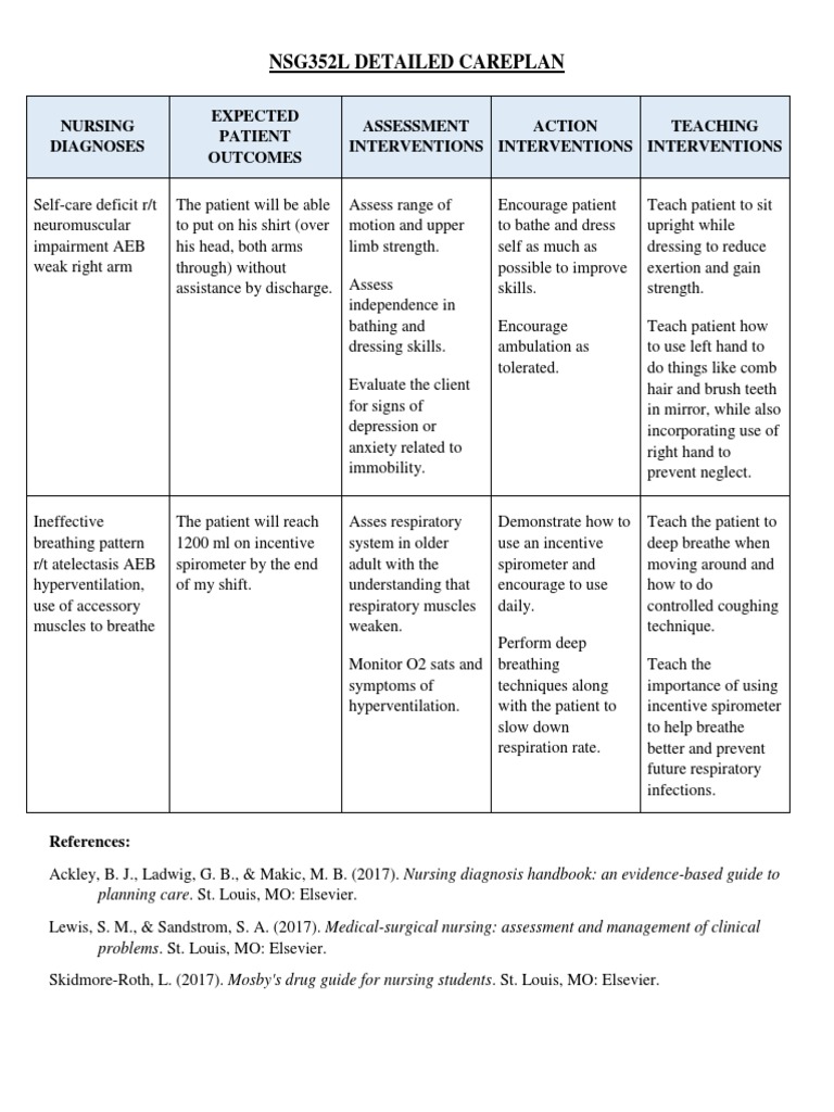 Nsg352L Detailed Careplan | Breathing | Nursing