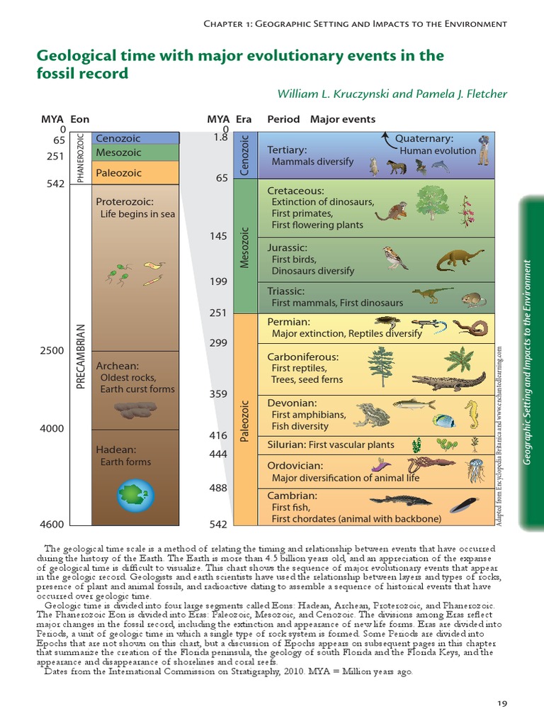 Geological Time With Major Evolutionary Events in The Fossil Record ...