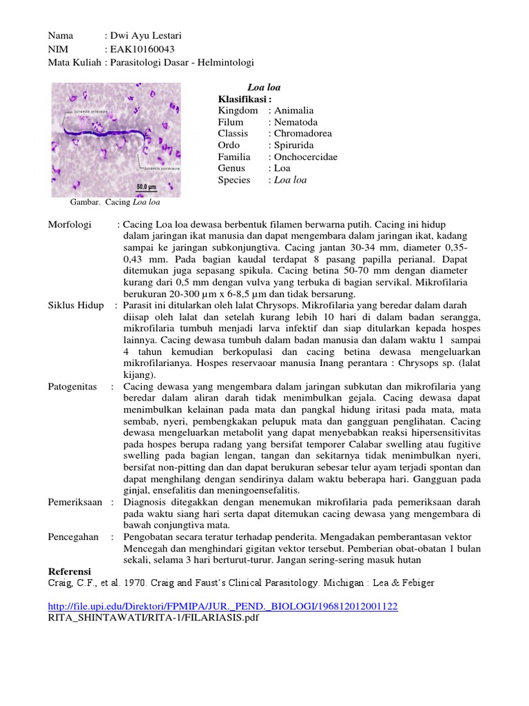 LOA LOA, PARASIT PADA MANUSIA | PDF