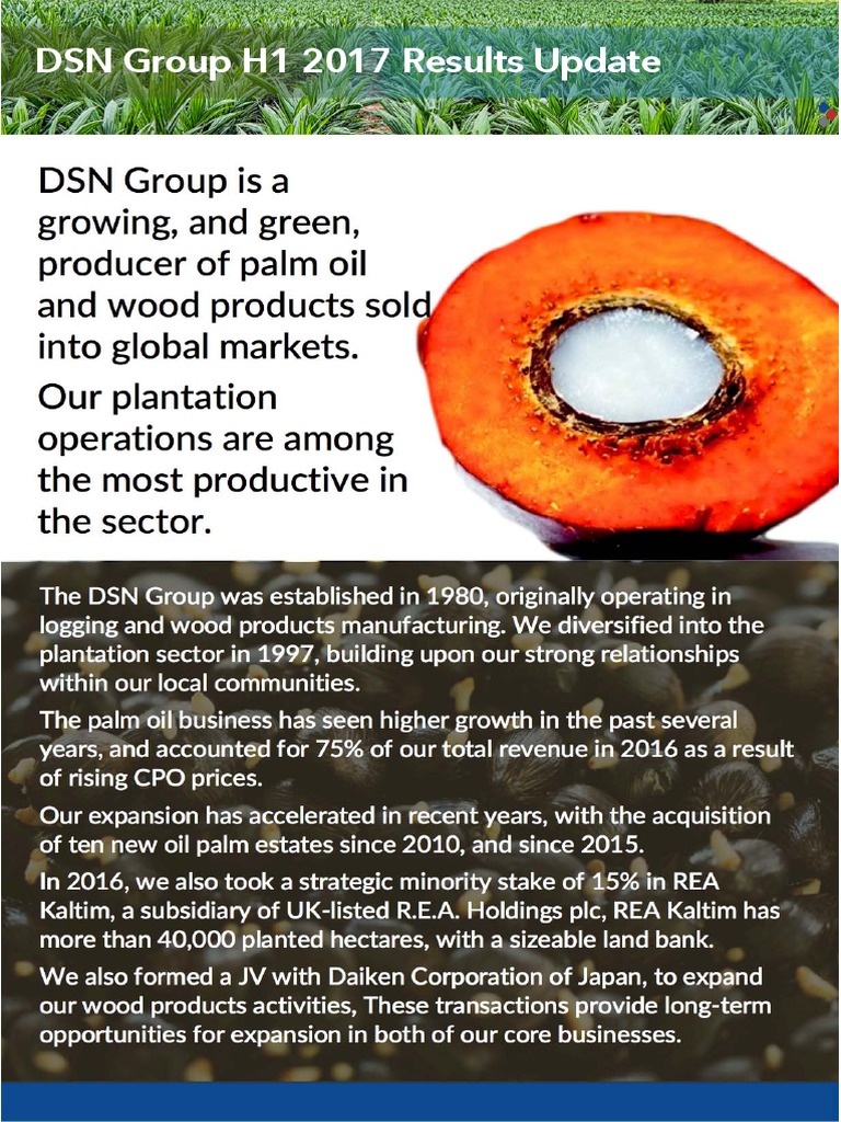 DSN Group H1 2017 Results Update | PDF | Accuracy And Precision | Economies