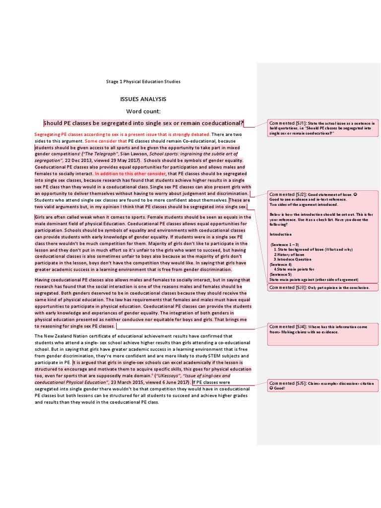 Issues Analysis Student Example | PDF | Gender | Gender Studies