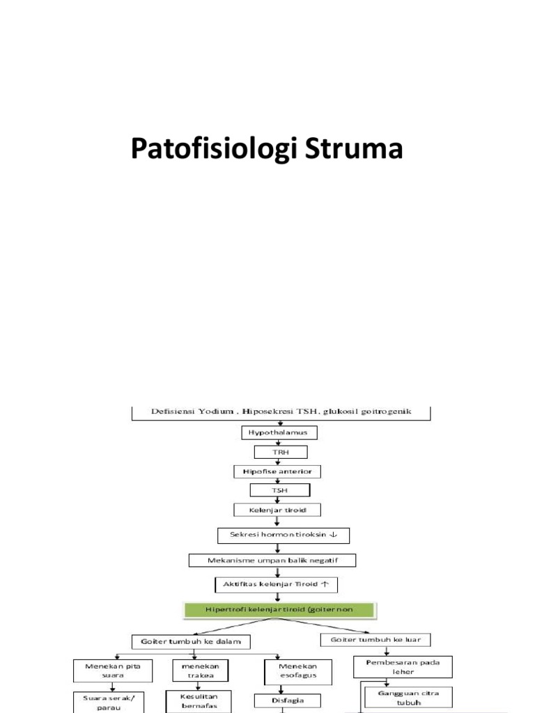 Patofisiologi Struma | PDF