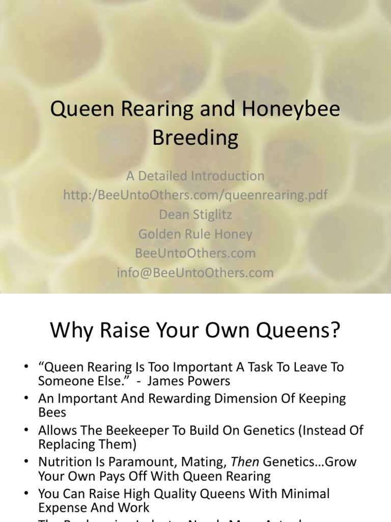 Queen Rearing and HoneyBee Breeding | PDF | Beekeeping | Honey Bee