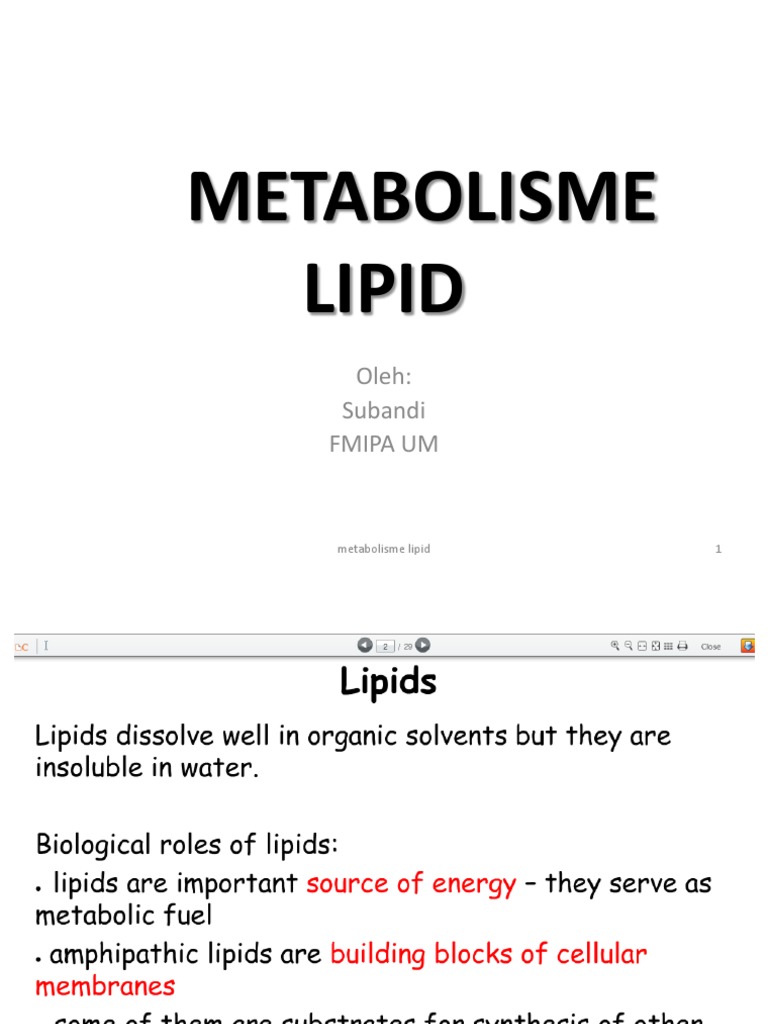 Metabolisme Lipid: Oleh: Subandi Fmipa Um | PDF | Lipid | Metabolism
