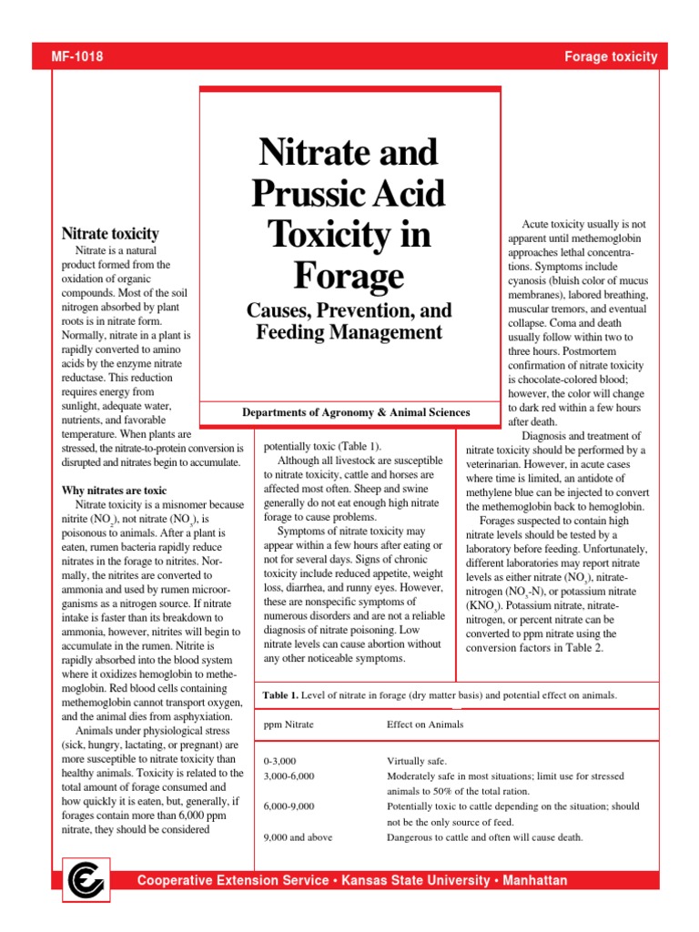 Prussic Acid Toxicity in Forage | PDF | Nitrate | Cyanide