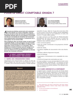 Le Plan Comptable Syscohada Revise | PDF