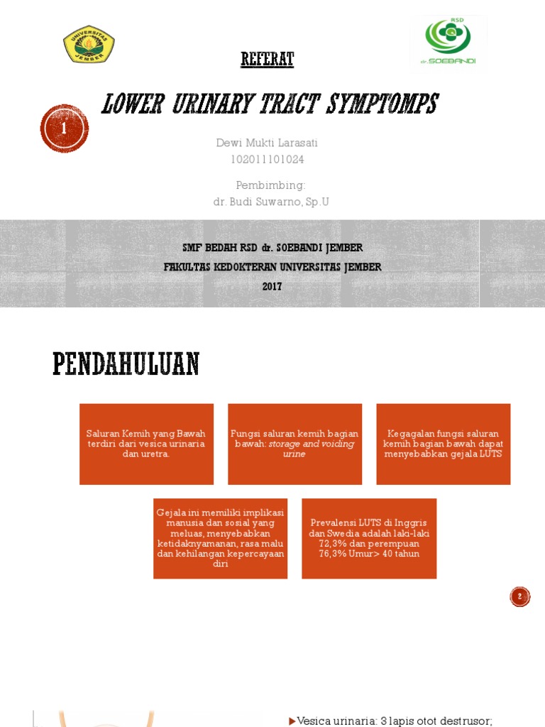 Gejala dan Penanganan LUTS pada Pria dan Wanita | PDF | Sains & Matematika