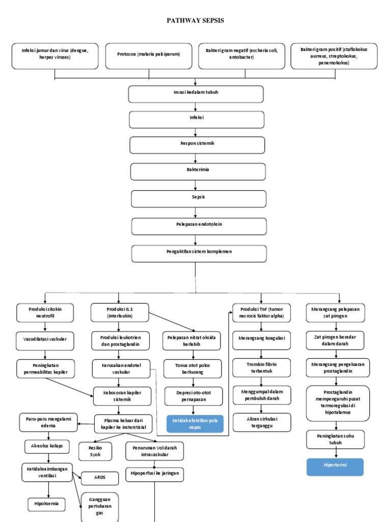 Pathway Sepsis | PDF