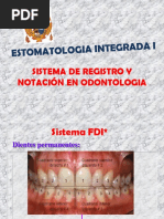Oclusion Fosa Cuspide | PDF | Anatomia dental | Diente