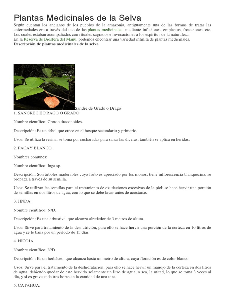 Plantas Medicinales de La Selva | PDF | Plantas medicinales | Tallo de ...