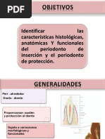 Proceso Alveolar | PDF | Hueso | Anatomía