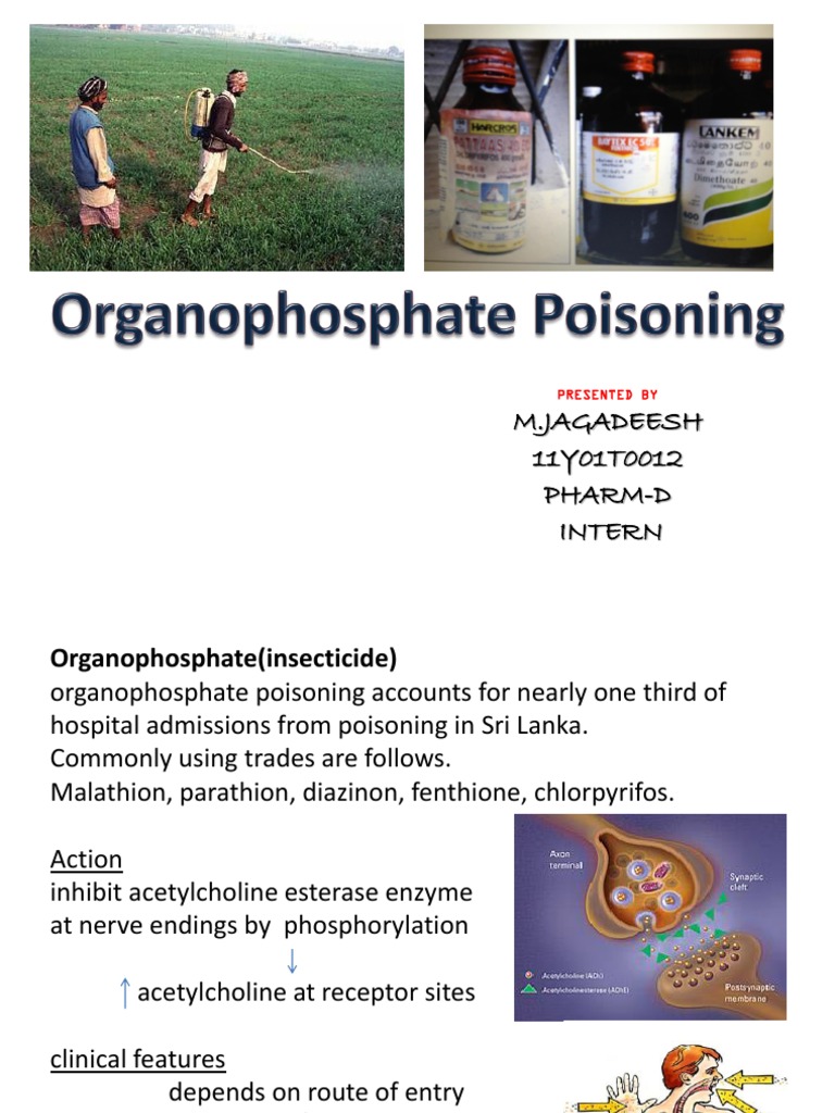 Op Poisoning | PDF | Acetylcholine | Medical Specialties