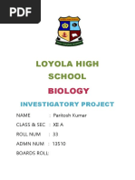 Biology Investigatory Project Class 12 - DRUGS | PDF | Heroin ...