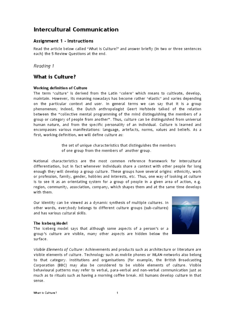 Assignment 1 What Is Culture | PDF | World View | Family