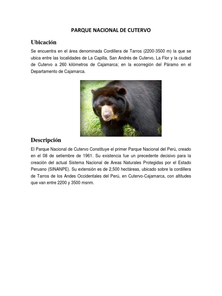 Parque Nacional de Cutervo | PDF | Conservación | Plantas