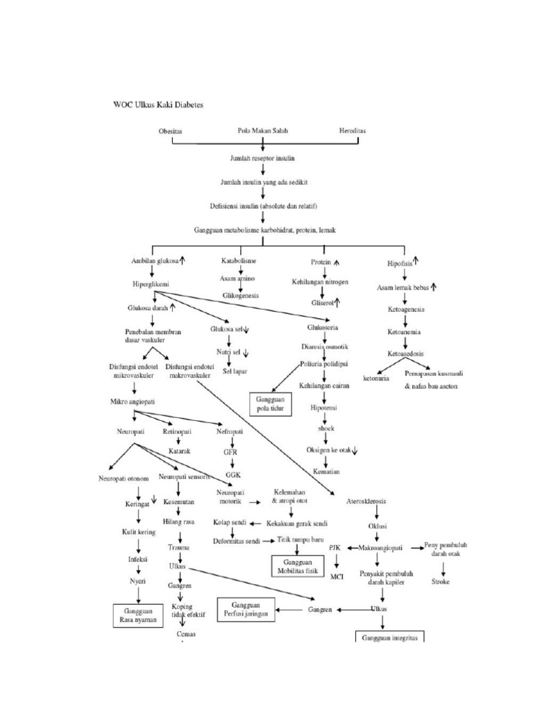 Asuhan Keperawatan Pada Klien Dengan Ulkus Diabetikum