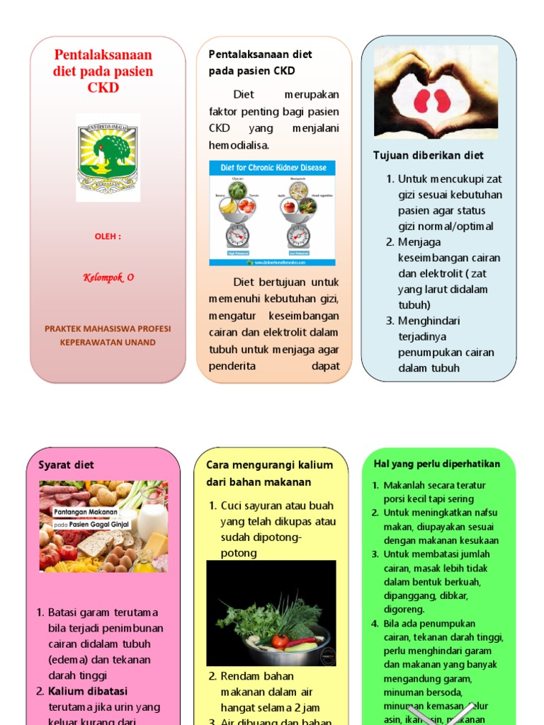 Leaflet Diit CKD | PDF
