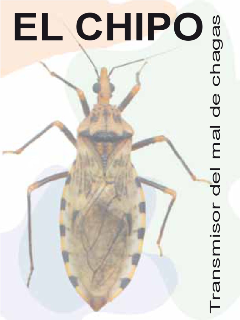 Chipo PDF | PDF | Naturaleza | Salud y bienestar