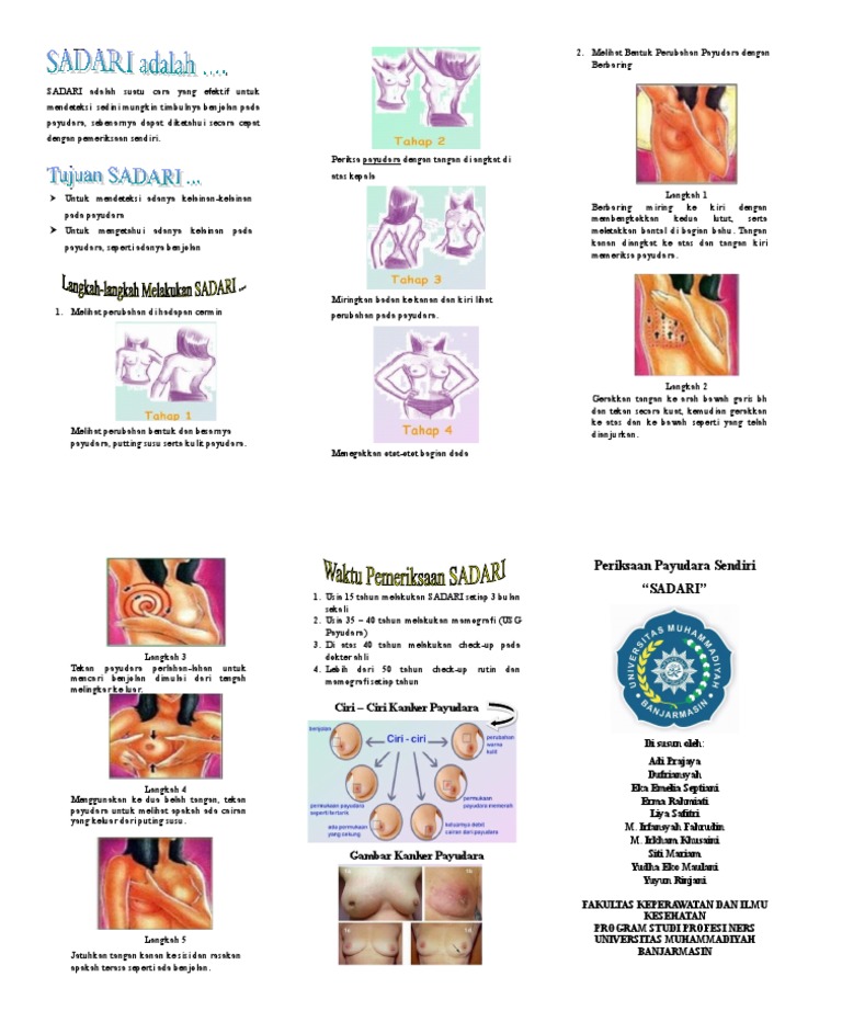 Leaflet Sadari | PDF