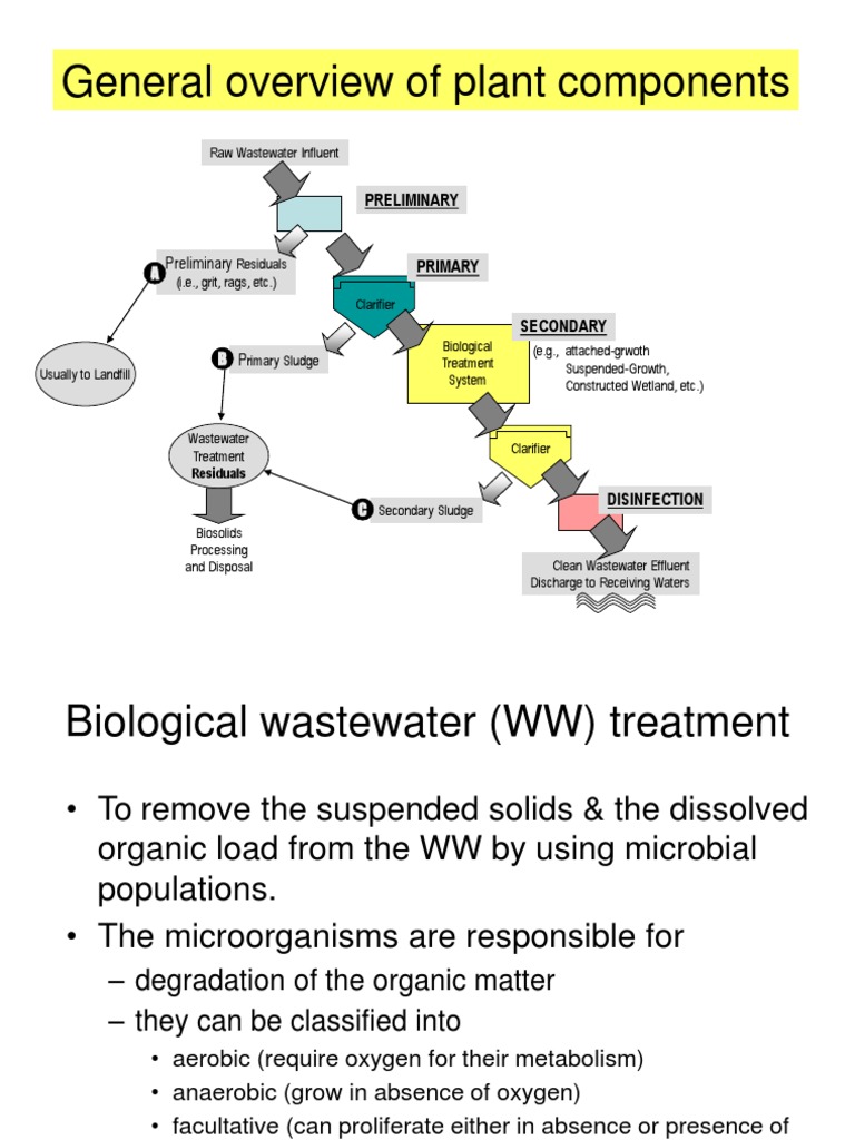 Attached Growth System | Sewage Treatment | Civil Engineering