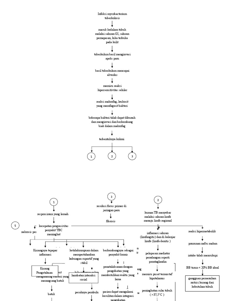 Pathway TB PARU | PDF