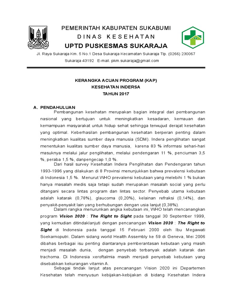 Kerangka Acuan Program Kesehatan Indera | PDF