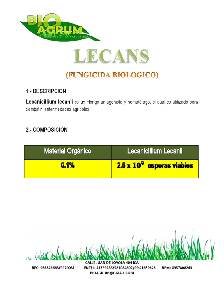 Ficha Técnica de Lecanicillium Lecanii | PDF | Tecnología
